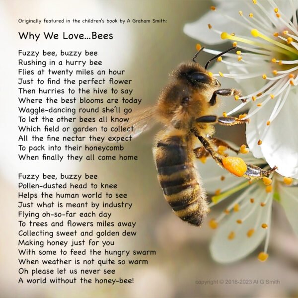 why we love bees | a poem for children of all ages